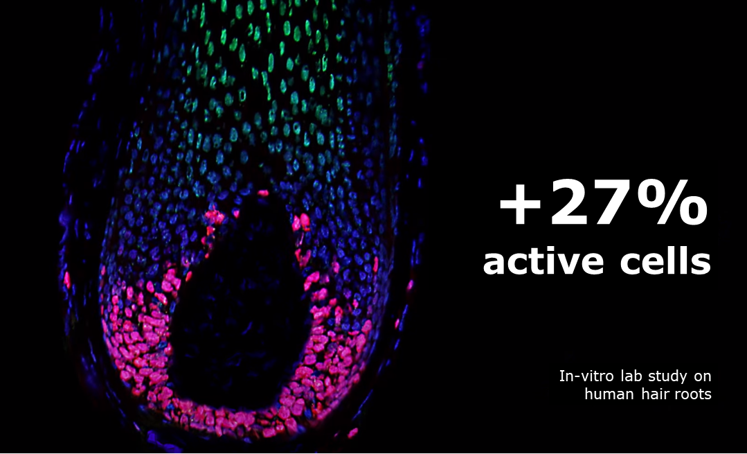 Alpecin C1 Caffeine Shampoo Black Edition